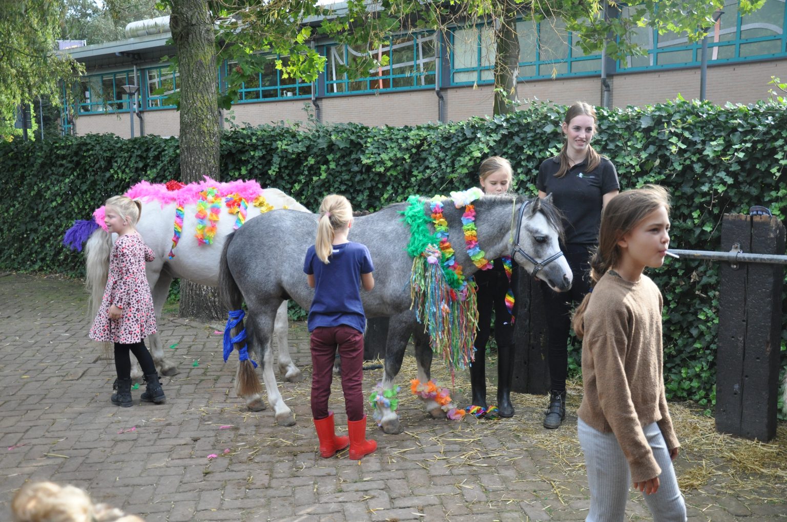 Kinderfeestje – RSC De Schimmelkroft